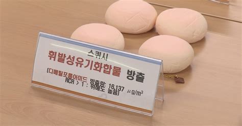 장난감 스퀴시 제품서 간독성 유해물질 검출