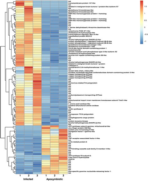 Heatmap Of Differentially Expressed Genes In Rnaseq Analysis Relative Download Scientific