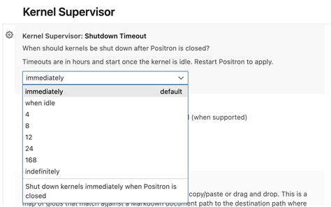 Remote Ssh Positron