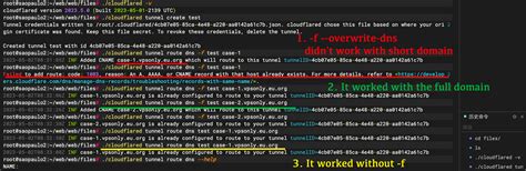 🐛 ` Overwrite Dns` Doesnt Work In The Command `cloudflared Tunnel Route Dns` · Issue 963