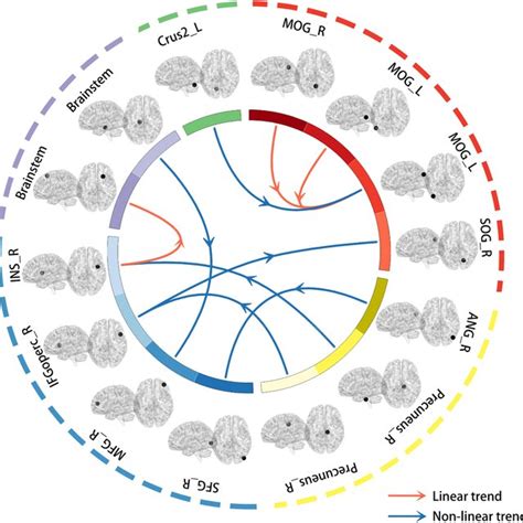 The Between‐group Differences Of Hrf Parameters Upper Row Brain