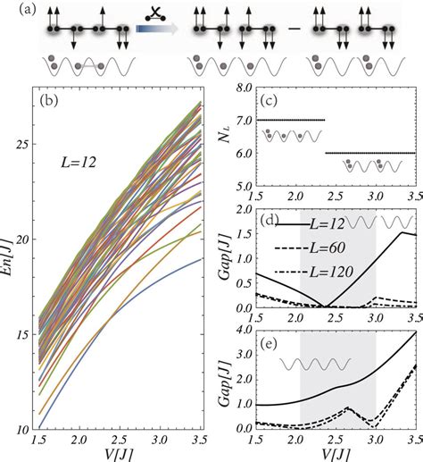 Chain Breaking Experiment Of An Open Hi A An Download Scientific Diagram