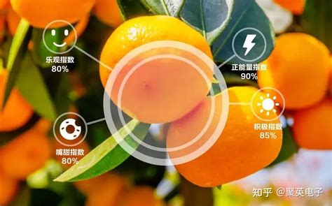 基于深度学习的植物叶部病害检测与识别应用挑战 知乎