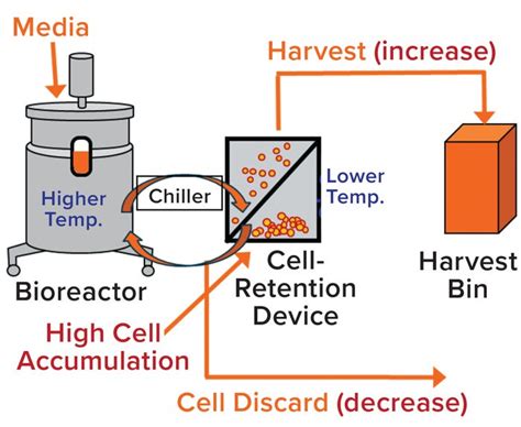 Perfusion Cell Culture Recent News Bioprocess International