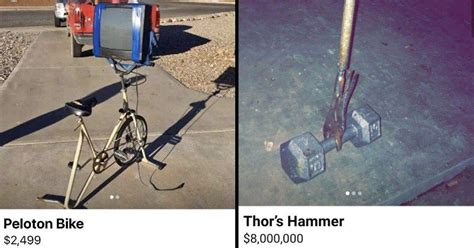 25 Insane Florida Man And Woman Adventures Spawned From Hell Itself Artofit