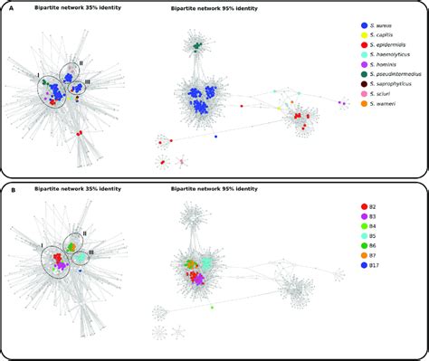 Analysis Of Gene Sharing Using A Bipartite Network Display The Network