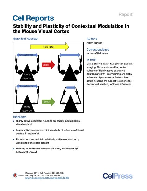 PDF Stability And Plasticity Of Contextual Modulation In The Mouse Visual Cortex