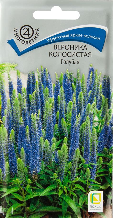 Вероники Вероника колосистая Голубая 0.1 г - купить по выгодным ценам в ...