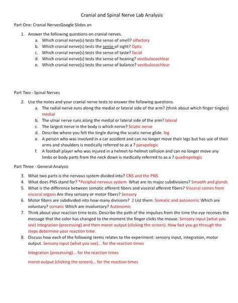 Cranial And Spinal Nerve Lab BIO 2451 Studocu
