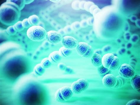 Pneumococcal Disease Pneumonia And Ear Infections Whats The Link