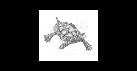 Yellow Blotch Map Turtle Art Turtle Art Posters And Art Prints Teepublic