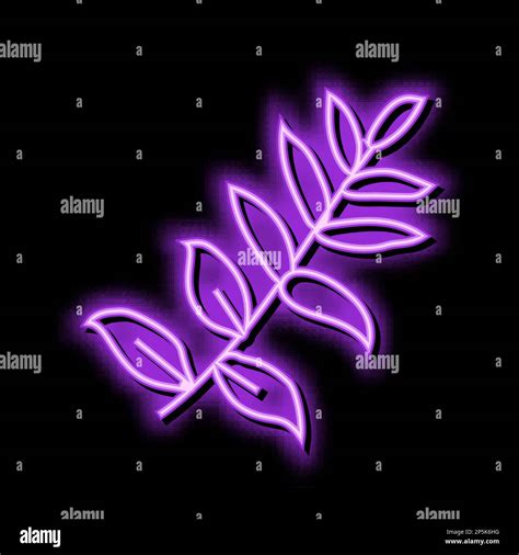 Zamioculcas Tropical Leaf Color Icon Vector Illustration Stock Vector