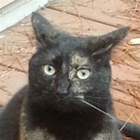 Al5grjul0wue Aqfn1xbuwp5o9rhmgad3tphes0k3 Dnfq S900 C K C0x00ffffff No Rj