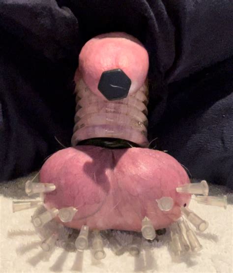 Needles In Skaves Balls Thisvid Com