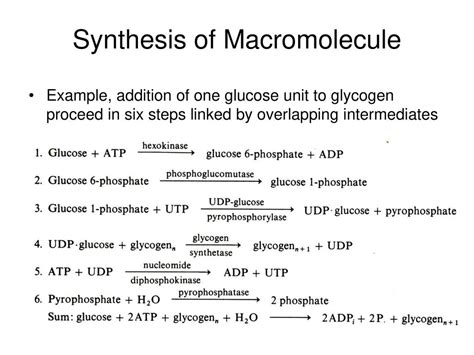 Biosynthesis Dr Akm Shafiqul Islam Ppt Download