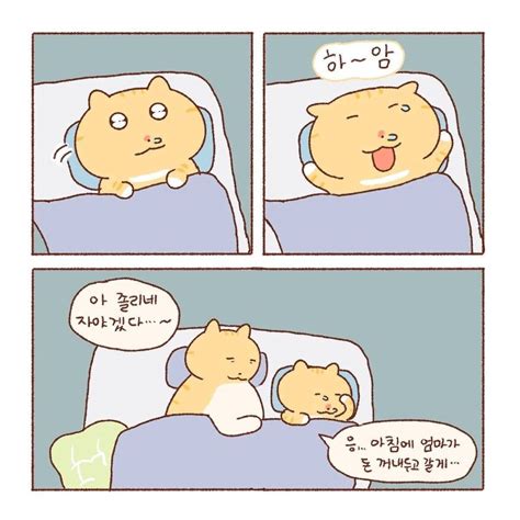 마음아픔주의엄마아빠도 부모는 처음이잖니 인스티즈instiz 이슈 카테고리