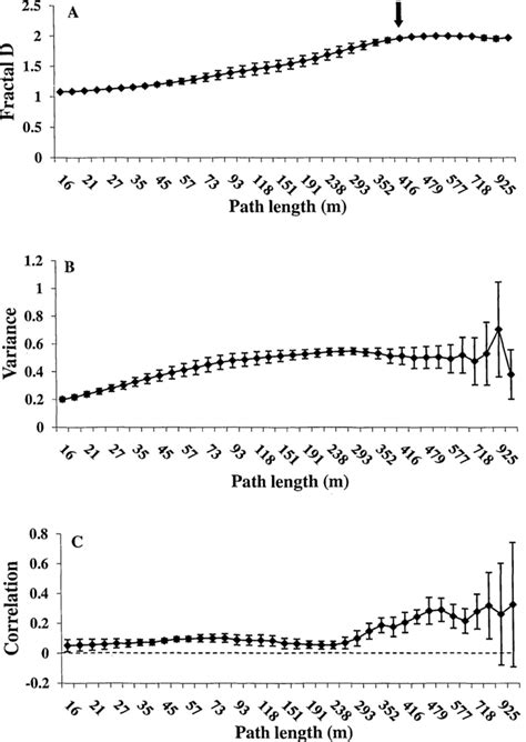 A Mean Fractal D B Variance Of Tortuosity Of Adjacent Path