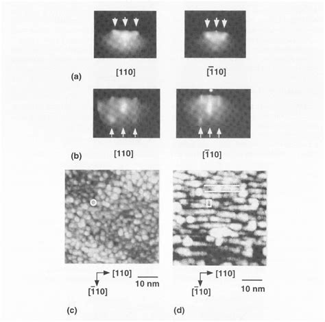 Figure 3 From Nanometer Scale Gaas Selective Growth Using Stm Lithography Semantic Scholar