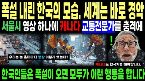 서울 폭설 영상에 캐나다가 충격 교통국 긴급회의까지 열린 이유 Youtube