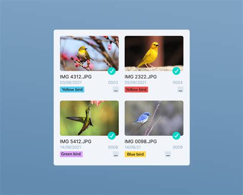 Image Classification In Machine Learning Intro Tutorial