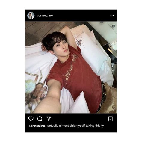 𐑺 ׅ ׂ· Sns Up데이트﹗ One Labels Amino