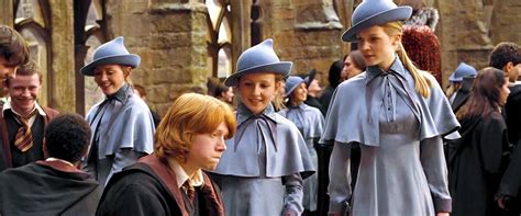 Fleur Harry Potter Costume