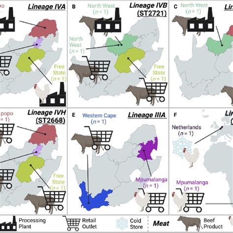 Geographic Origins Of B Cereus Sensu Lato Strains Sequenced In This Download Scientific