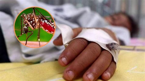 Santiago Con Múltiples Casos De Dengue