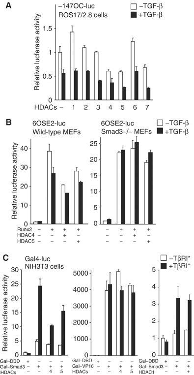 class iia hdacs are corepressors in tgf β mediated repression of