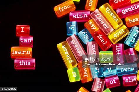 Random Assignment Photos And Premium High Res Pictures Getty Images