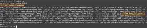 How To Setup Name Based And IP Based Virtual Hosts Server Blocks With NGINX