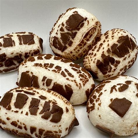 Charleston Chew Freeze Dry Etsy