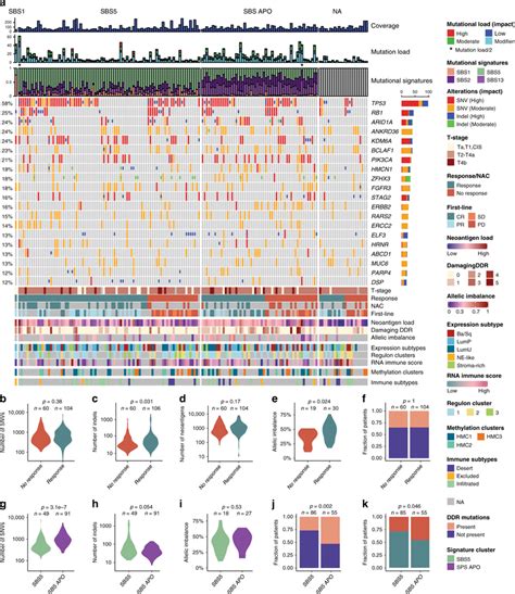 Overview Of The Genomic Alterations Correlated To Chemotherapy Download Scientific Diagram