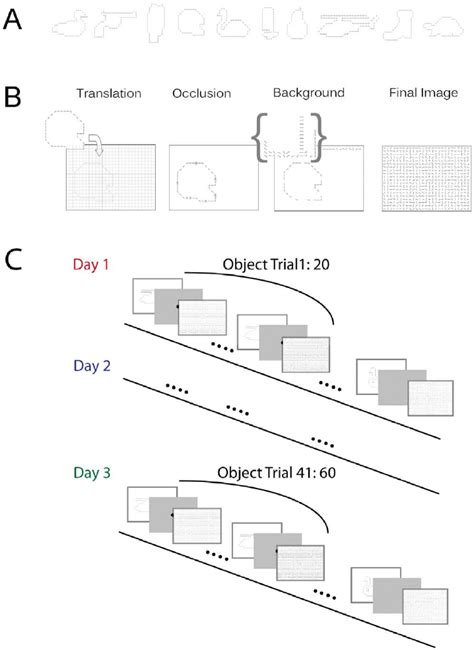Stimulus And Experimental Design A The Ten Object Shapes Used In Download Scientific