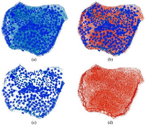 improved tree segmentation algorithm based on backpack lidar point cloud