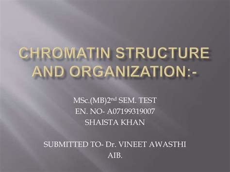 Genome Organisation In Eukaryotes Ppt