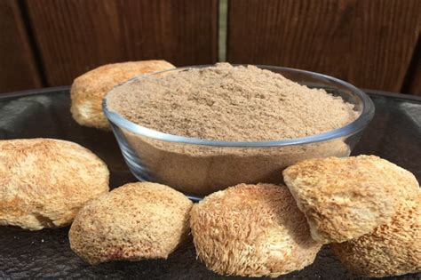 Lions Mane Extract China Food Additives Manufacturer