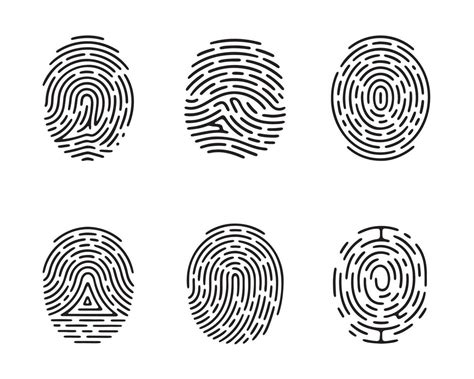 Six Different Fingerprint Patterns Isolated On White 60630995 Vector Art At Vecteezy