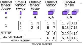 Filetensor Dimensionssvg Wikimedia Commons