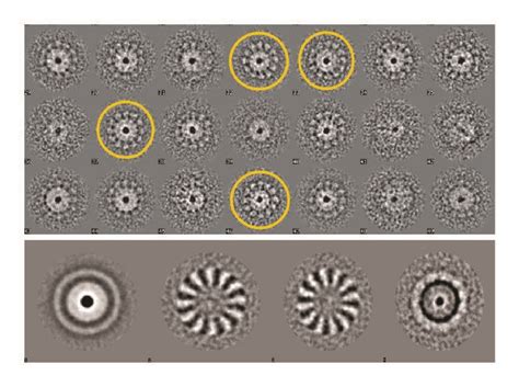 Eigenimages Symmetry A A Model Dataset With 4 Fold Symmetry B