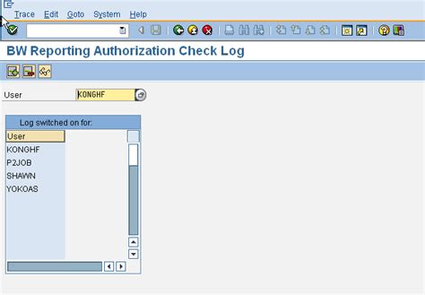 Rssm Reporting Authorizations Sap Security Pages