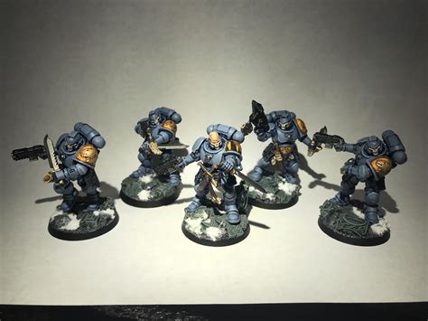 Space Wolves Kill Team Ready To Go R Killteam