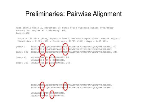 PPT Multiple Sequence Alignment NP Hardness And How To Deal With It PowerPoint