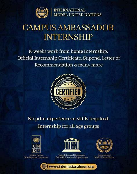 Internationalmun Mun Imun Modelunitednations Imun2021 Youth