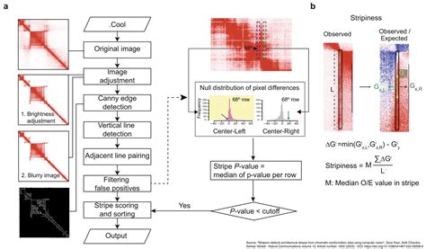 The Royal Vox Post On Twitter Epigenomics Bioinformatics