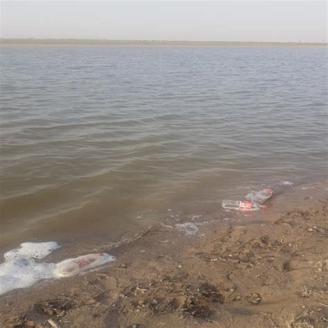 Sample1 Object Detection Dataset By Adamson University