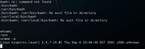 Spawning A Tty Shell After Gaining Access To A System Rhacking