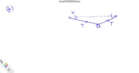 SOLVED Calculate The Tension In The Vertical Strand Of A Spider Web If A Spider Of Mass X