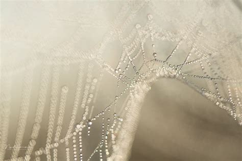 Ways To Capture Blur Or The Illusion Of Blur In A Photo Fstoppers