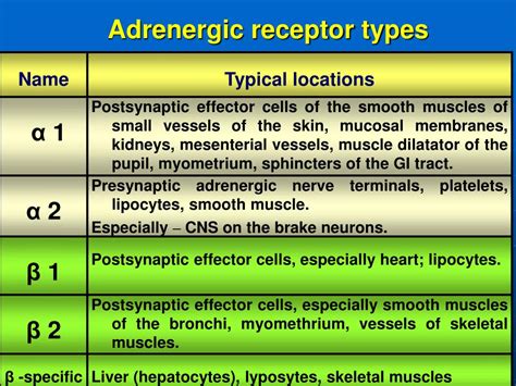 Ppt Adrenotropic Drugs Adrenomimetics Adrenoblockers Powerpoint Presentation Id 4627311